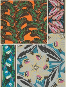 Butterfly Patterns – cristina buckley